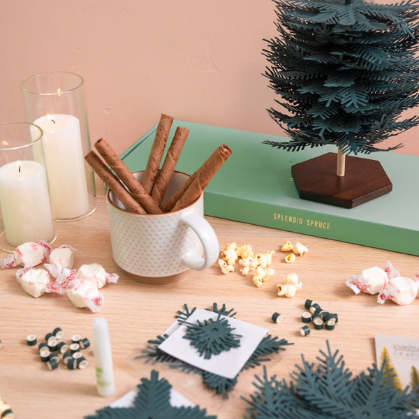 Splendid Spruce - Large Tree - Concord & 9th