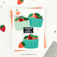Freshly Picked Bundle